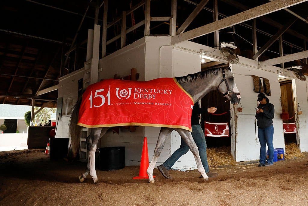 Meet The Horses of the 151st Running of the Kentucky Derby | Digital ...