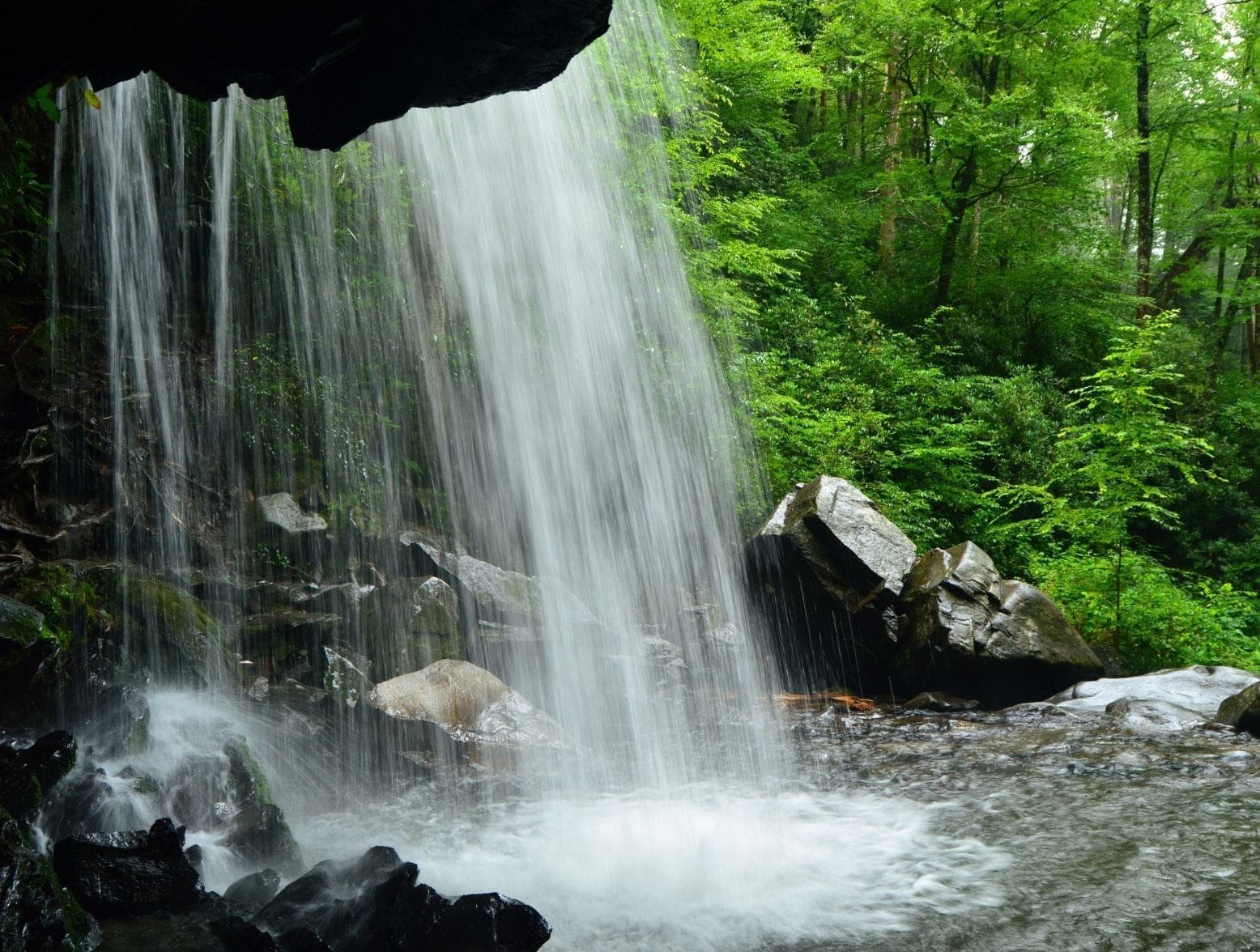 Discover Pennsylvania’s Most Stunning Waterfall: A Guide to the Best ...